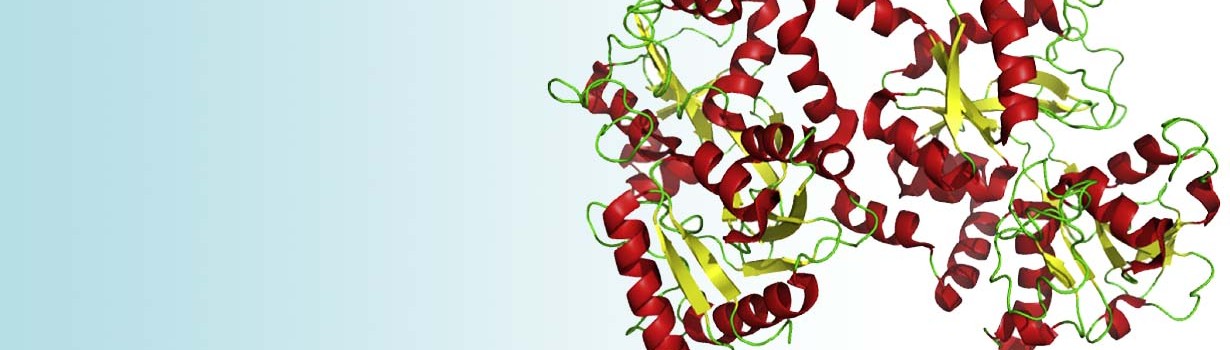 What is lactoferrin